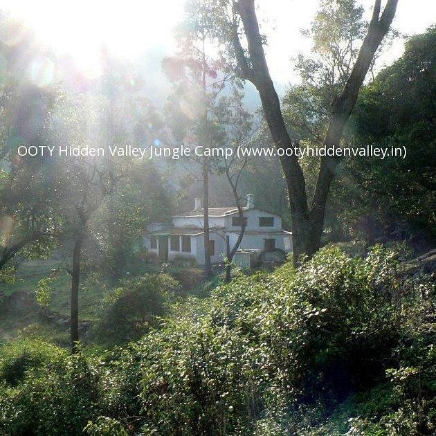 Ooty Hidden Valley Camp